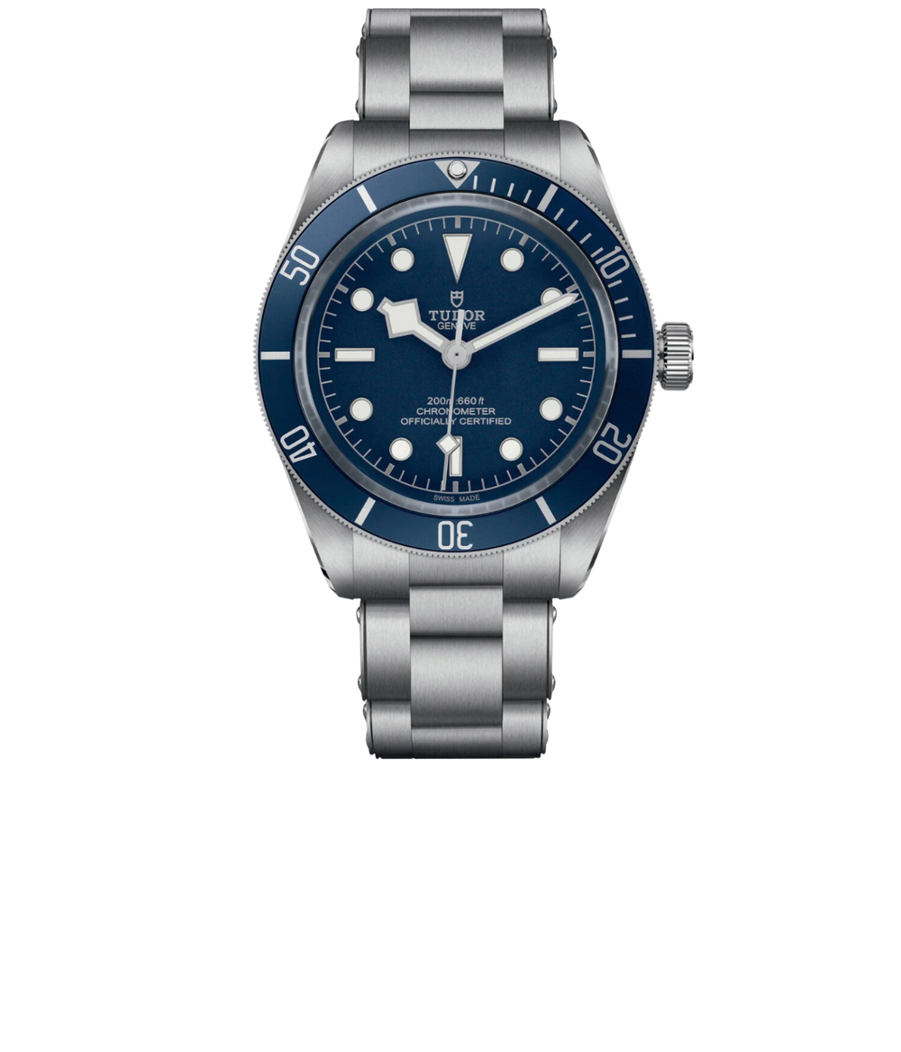 Tudor Straps – Rubber, Leather, & Nylon | Helvetus®